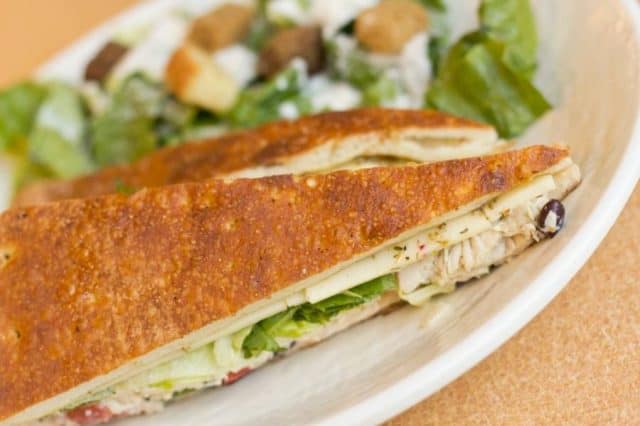 15 Chicken Panini Recipes for a Mouth-Watering Lunch - Jane's Kitchen