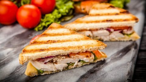 15 Chicken Panini Recipes for a Mouth-Watering Lunch - Jane's Kitchen