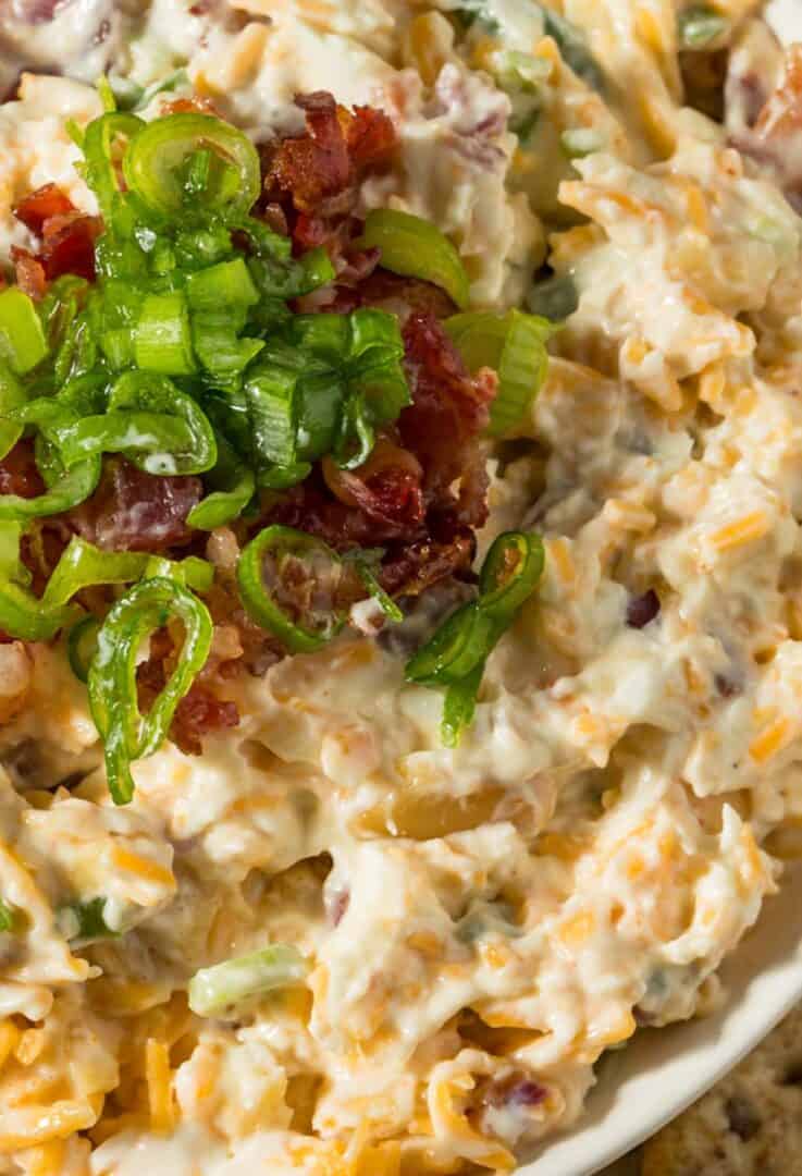 Pioneer Woman Million Dollar Dip - Jane's Kitchen