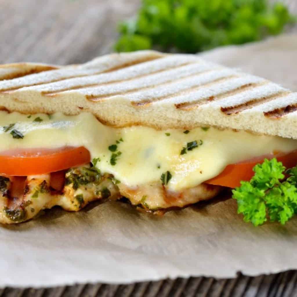 17 Turkey Panini Recipes You’ll Want to Eat Immediately - Jane's Kitchen
